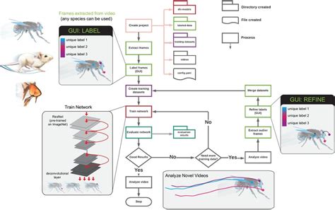 Deeplabcutdocsuseoverviewguidemd At Main · Deeplabcutdeeplabcut