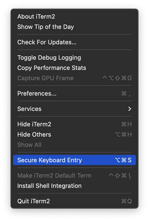 Touch Id Window For Sudo Doesnt Get Focus When Opened From Iterm Ask