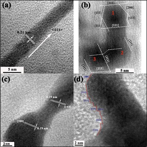 High Resolution Phase Contrast Images Of A After Min Of Growth