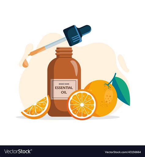 Orange Essential Oil In Glass Bottle And Fresh Vector Image