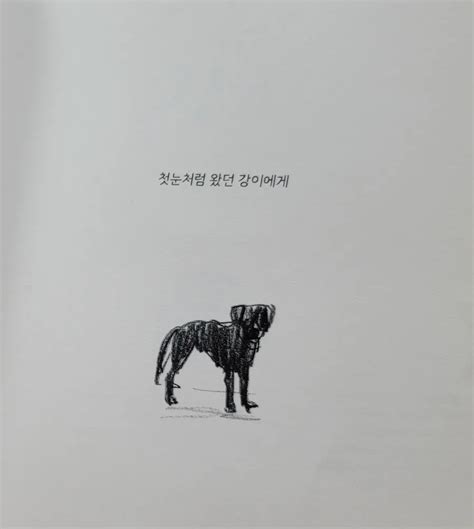 이수지 작가의 그림책『강이』