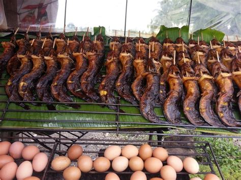 ปลาดุกย่าง ไข่ปิ้ง แวะชิม ความอร่อยได้ที่ เสาธง อ ร่อนพิบูลย์ จ