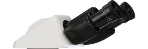 Viewing Heads For Accu Scope 3012 Microscopes Microscope Central