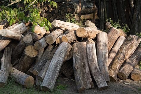 시골에서 클로즈업 로그 더미 목욕 겨울 장작을 수확 균열건조 원형 로그 0명에 대한 스톡 사진 및 기타 이미지 0명 갈색 거친 Istock