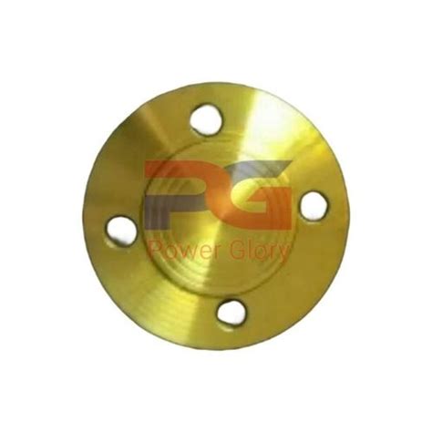 Jual Blind Flange Besi Jis K Inch Flange Buta Cs Jis K Jakarta Barat Power Glory