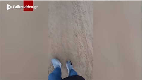 რა კადრები ვრცელდება დიდი დიღმიდან პალიტრა ვიდეო