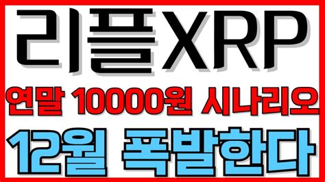 리플 Xrp 연말 10000원 시나리오 12월 폭발한다 Sec 리플전망2025 리플xrp실시간 리플코인실시간 리플코인목표가 리플코인전망실시간 리플xrp코인 트럼프