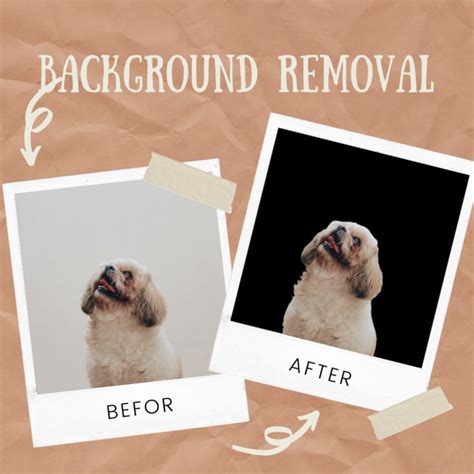 Remove Cut Out Professionally Your Background Photos Quickly By