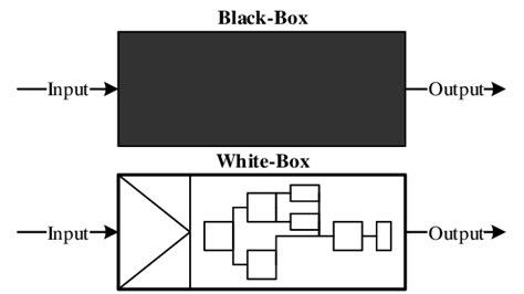 Schematic Representation Of A Black Box And A White Box Method