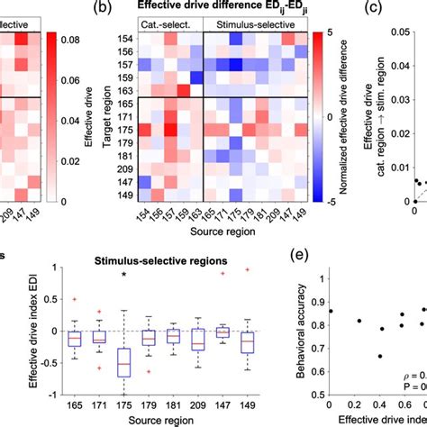 Brain Atlas For Whole‐brain Effective Connectivity Analysis And