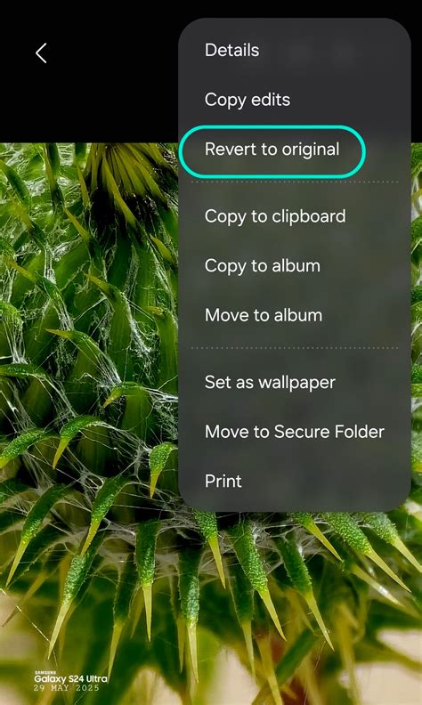 After Updating To One Ui 7 After I Use Photo Edit And Add A Text I