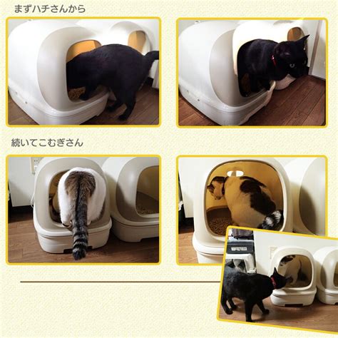 【楽天市場】システム猫トイレ用砂 クエン酸入り 猫砂 6l Tia 6c猫 猫砂 システムトイレ 猫トイレ 砂 ネコ砂 におわない消臭サンド
