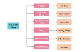 Data Types SQL Pengertian Jenis Jenis Data Dan Fungsi Setiap Data