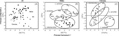 Variation In Morphology As A Function Of Species Sex And Collection