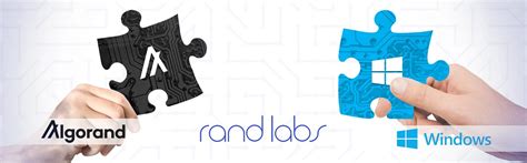 Algoexplorer 2 0 The New Algorand Block Explorer Is Here By Pablo Yabo Rand Labs Medium