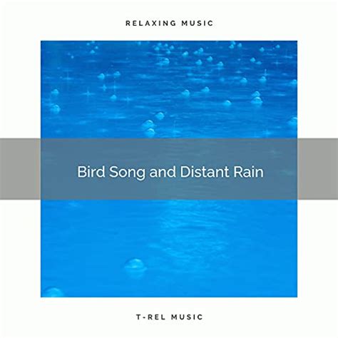Écouter Bird Song And Distant Rain De Ambient Rain Sur Amazon