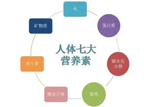 营养科谱 营养对疾病有康复的作用江西健乐医疗科技有限公司