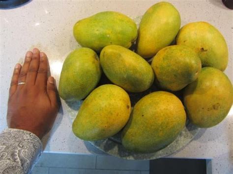 24 Varieties Of Mangoes In India And Where To Find Them