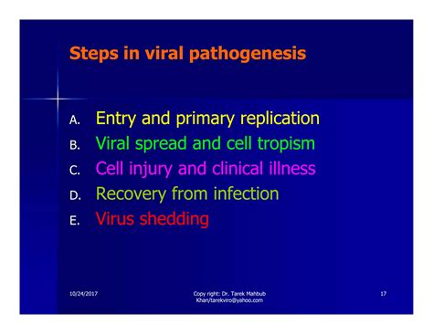 Virus Cell And Virus Host Interaction Virology 7 Pdf