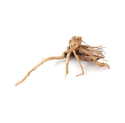 Aquarium Wood Azalea Root 50 60cm