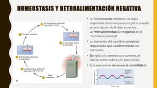 Temas Principales Anatomia Y Fisiologia Pptx