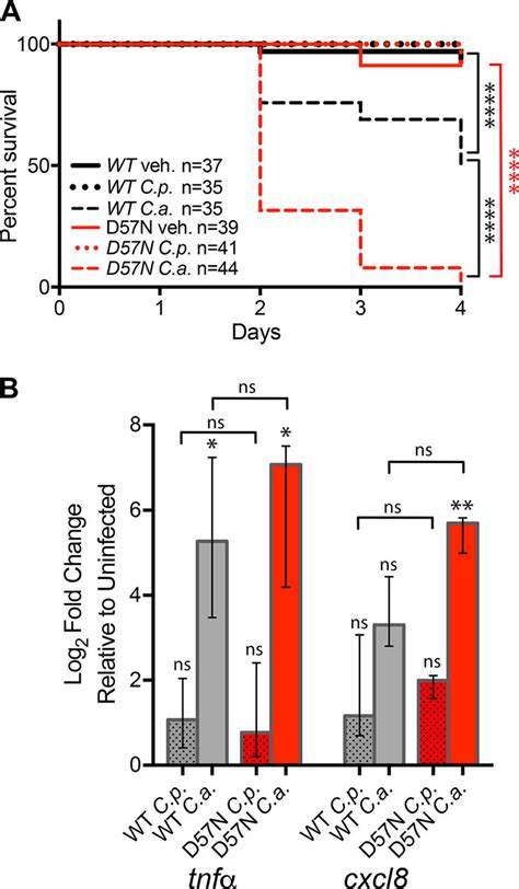 Neutrophil Defects Impact Immunity To C Albicans But Not C