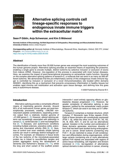 Pdf Alternative Splicing Controls Cell Lineage Specific Responses To