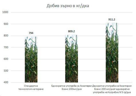 Сега е моментът за правилна инвестиция при отглеждането на царевица и