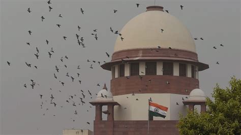 Madhumita Shukla Murder Case Sc Fixes Timeline For Consideration Of