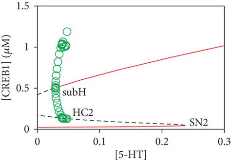 Bifurcation Diagrams Of Creb1 Versus 5 Ht At Twelve Values Of V2 Download Scientific