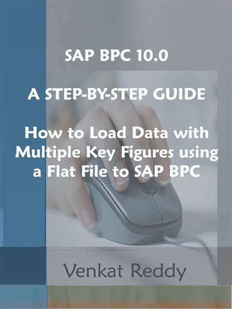 Buy Sap Bpc 10 0 A Step By Step Guide How To Load Data With Multiple Key Figures Using A Flat