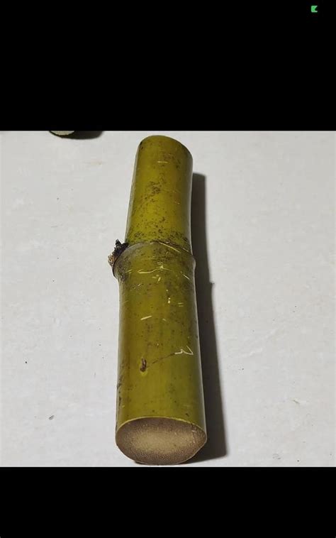 文玩实心玉竹怎么盘 闪电鸟