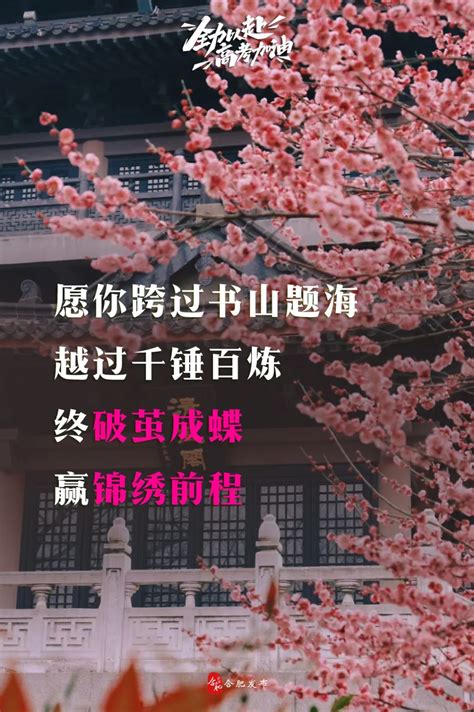 “你们是我带过最差的一届！”这句话，你信了吗？澎湃号·政务澎湃新闻 The Paper