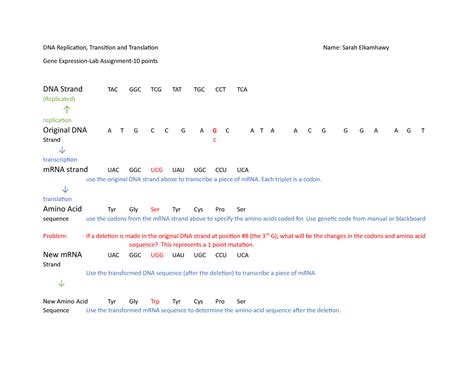 Gene Expression Lab Assignment 2020 Dna Replication Transition And Translation Name Sarah
