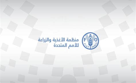 أسعار الغذاء العالمية تواصل ارتفاعها للشهر الثالث على التوالي