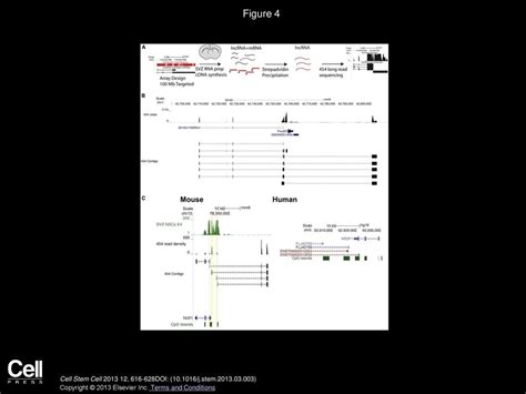Volume 12 Issue 5 Pages May 2013 Ppt Download