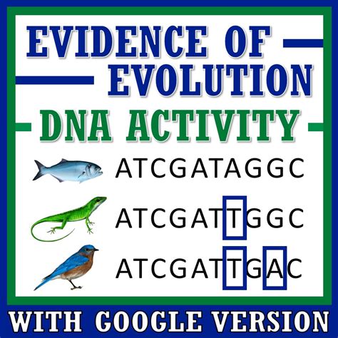 Molecular Dna Evidence Of Evolution Activity Flying Colors Science