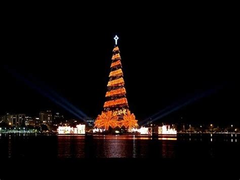The Largest Christmas Tree In The World Mexico City YouTube