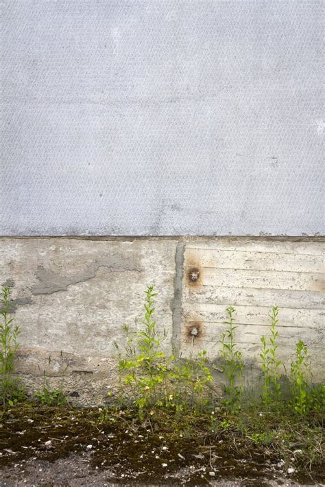 Urban Grungy Concrete Wall With Green Grass Stock Image Image Of