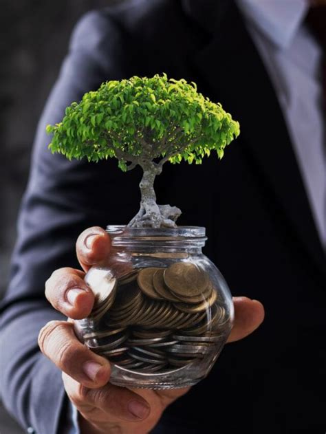 Como A Renda Fixa Pode Te Proteger Da Inflação
