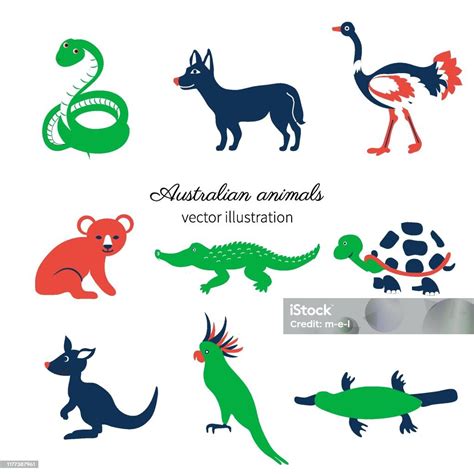 Vetores De Animais Selvagens Australianos Ilustração Colorida Dos