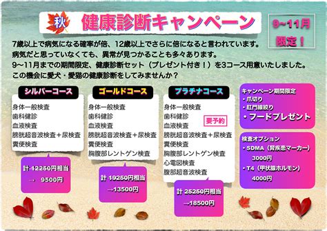 秋の健康診断キャンペーン フェリーチェペットクリニック