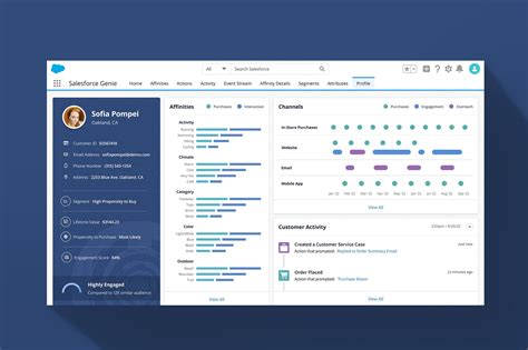 Unified Customer Profile Redesign Evergage To Salesforce Genie Design By Ashton — Design By