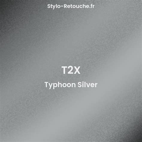 Stylo Retouche Hyundai T X Typhoon Silver Stylo Retouche Fr