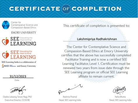 Seelearning Facilitation Socialemotionallearning Education Certification