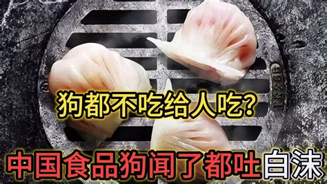 中国科技食品狗闻了都吐白沫！狗闻了都摇头！狗都不吃给人吃！良心何在？丨reaction Video Youtube