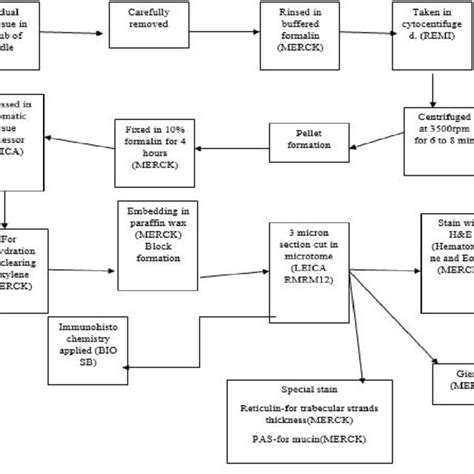 Illustration To Show Cell Block Formation Methodology In Our Laboratory Download Scientific
