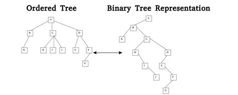 What Is An Ordered Tree General Codechef Discuss