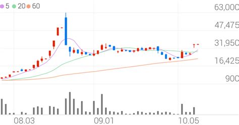 엑세스바이오 398 상승폭 확대 조선비즈