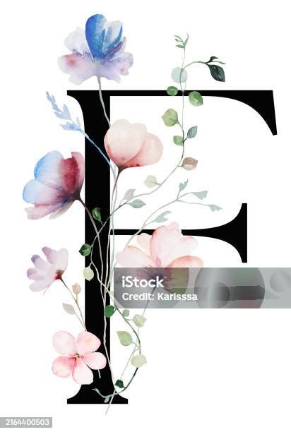 수채화 파스텔 부드러운 야생화와 나뭇잎 결혼식 고립 된 그림과 검은 편지 F 0명에 대한 스톡 벡터 아트 및 기타 이미지 0